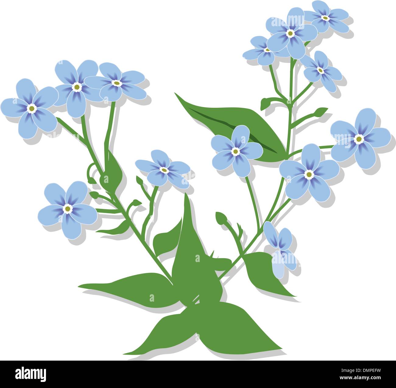 Bouquet forget nots greeting hi-res stock photography and images - Alamy