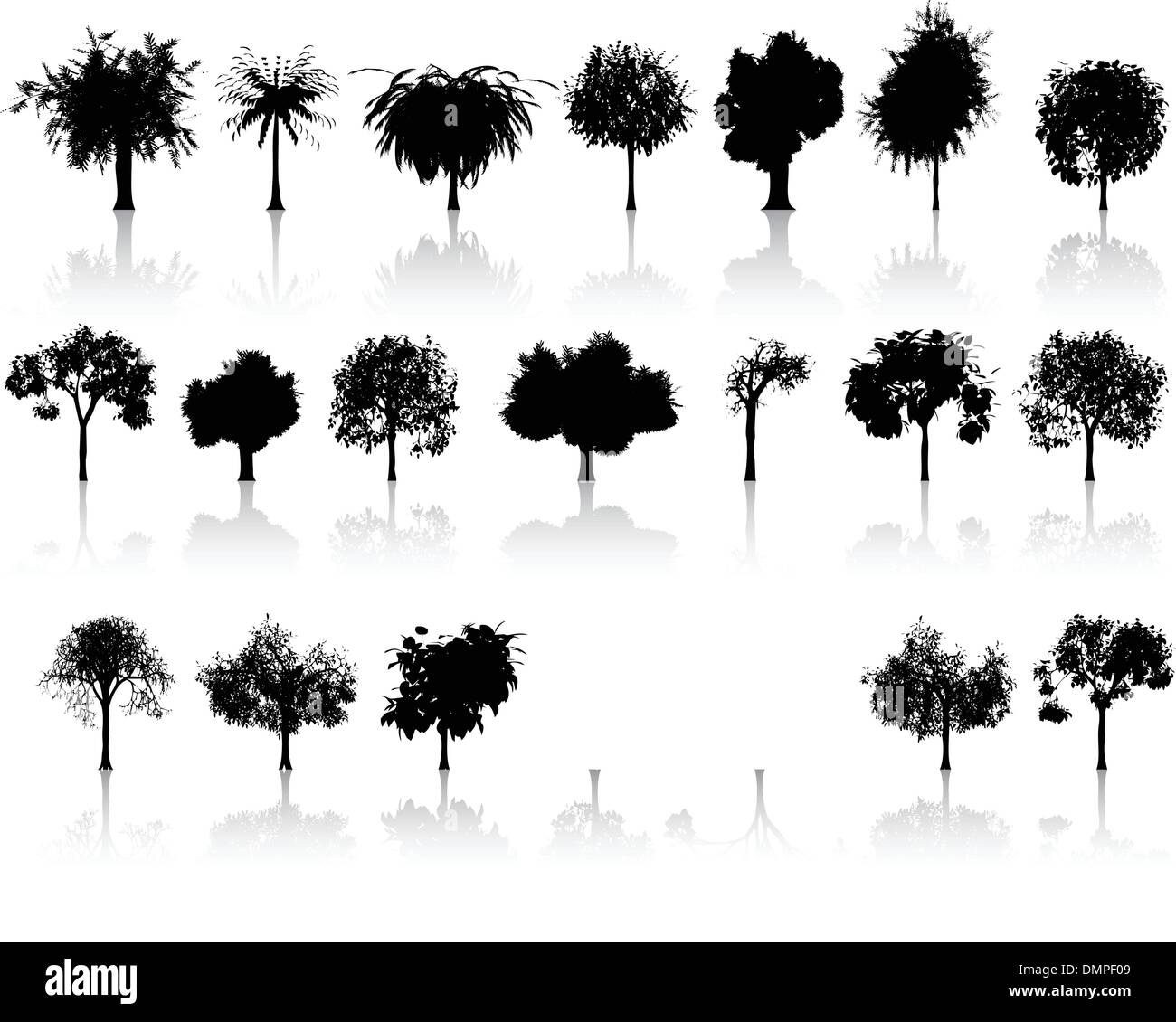 Set of detailed trees Stock Vector Image & Art - Alamy