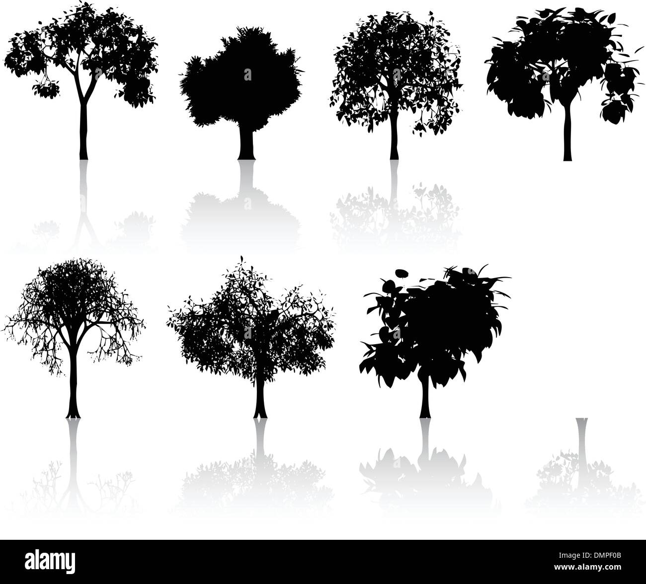 Set of detailed trees Stock Vector Image & Art - Alamy