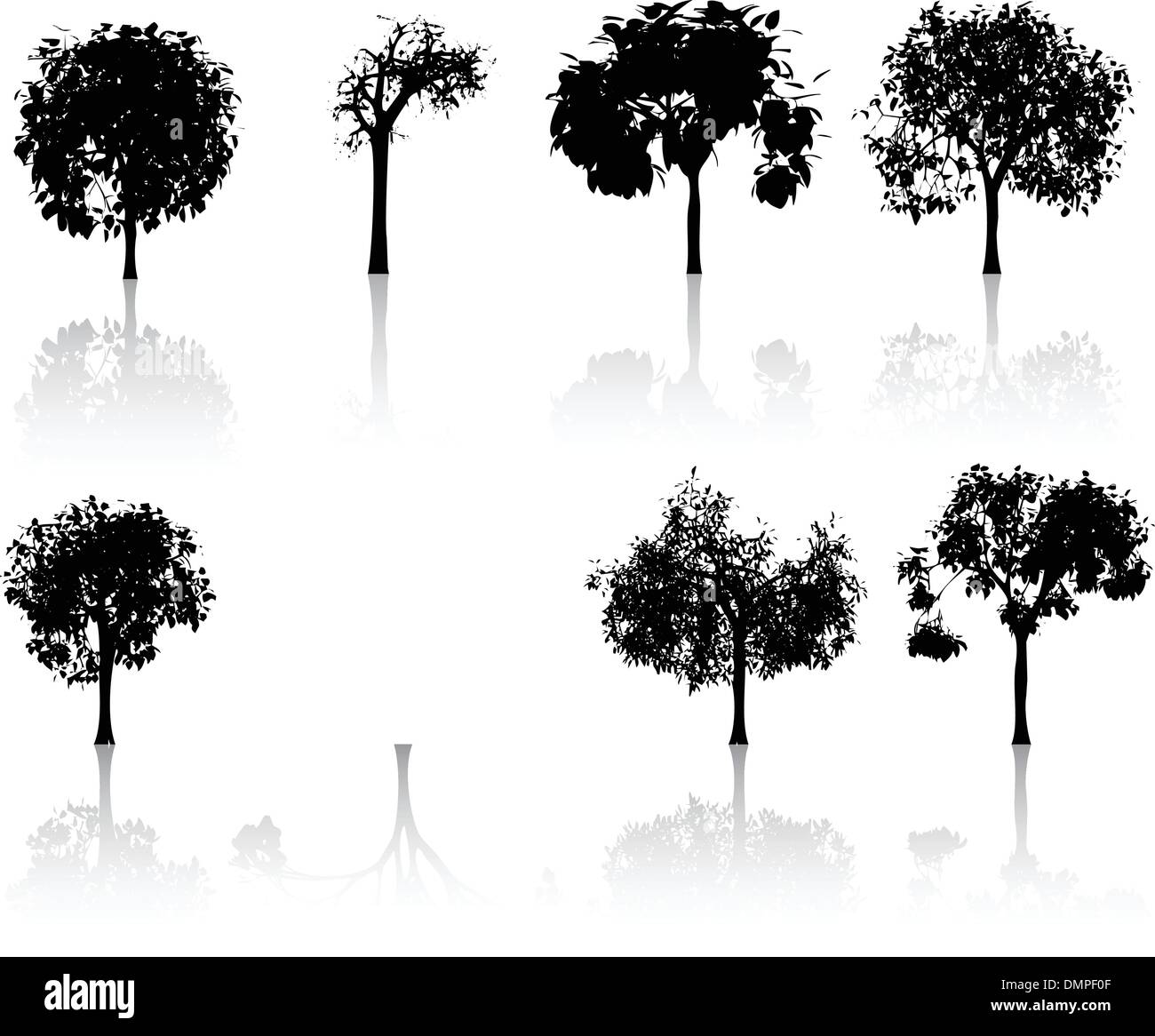 Set of detailed trees Stock Vector Image & Art - Alamy