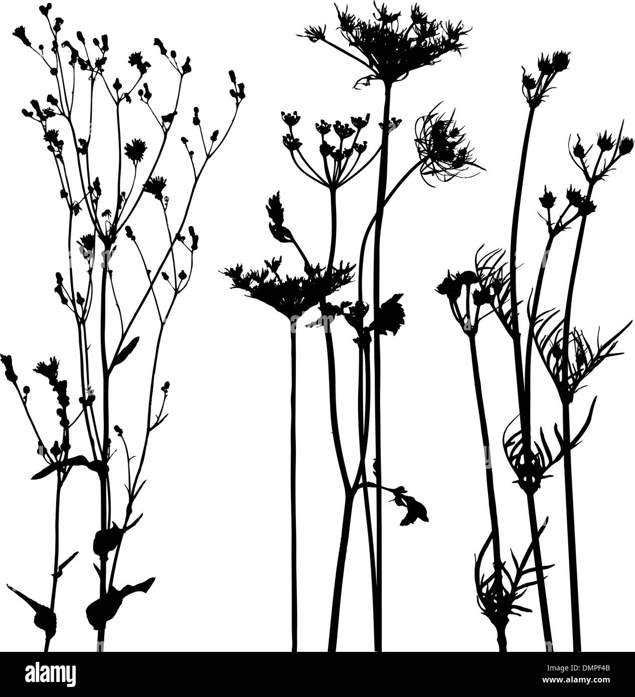 collection, for designers, plant vector Stock Vector Image & Art - Alamy