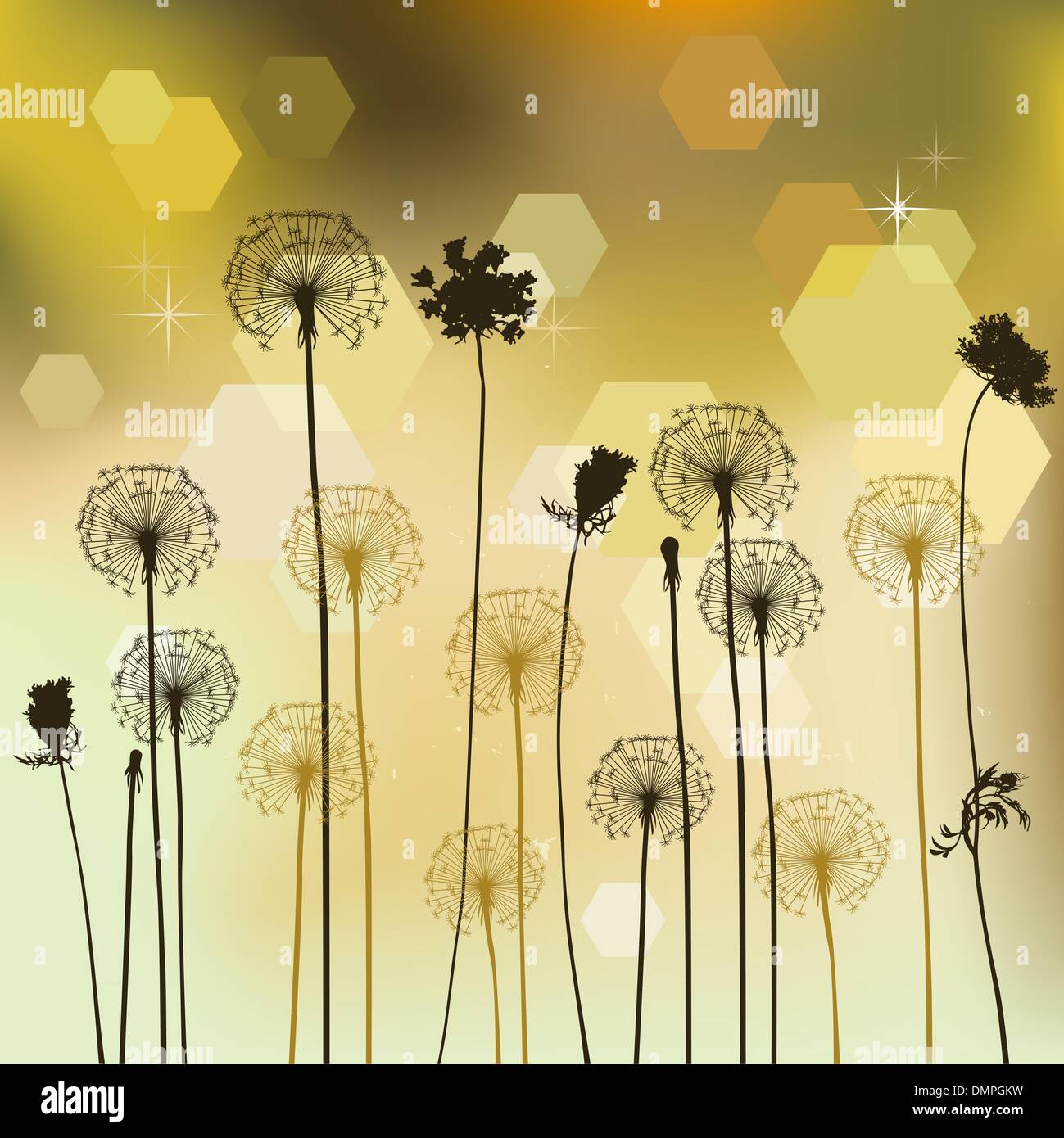 Floral background with dandelion Stock Vector Image & Art - Alamy
