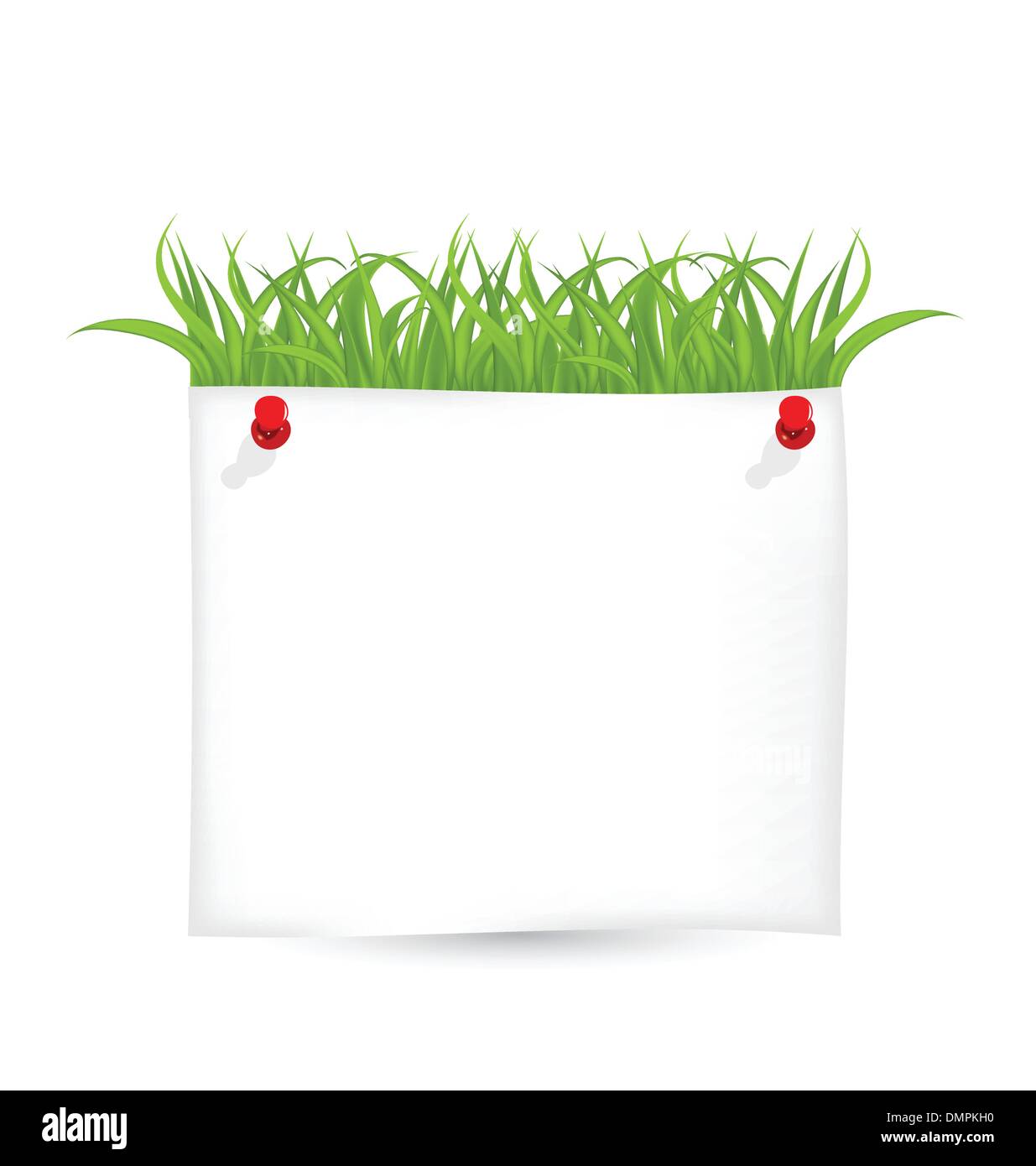 Paper sheet with green grass isolated on white background Stock Vector ...