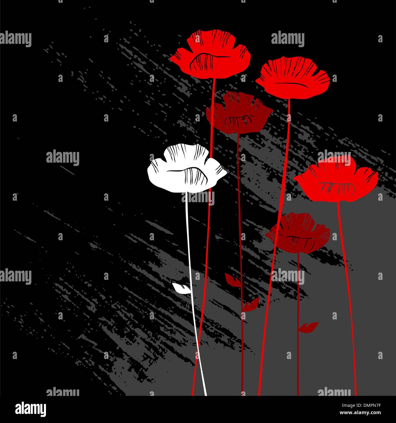 floral background, poppy with a space for your text Stock Vector Image ...