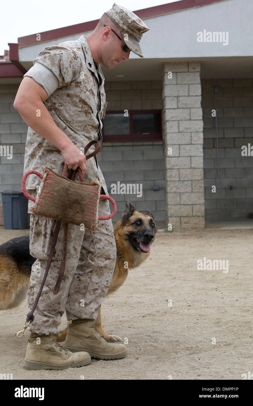 Aug. 20, 2009 - San Diego, California, USA - The K-9 Military Working ...