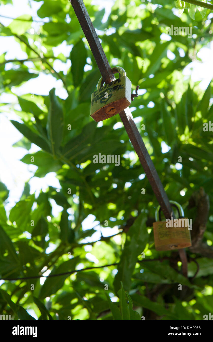 Love lock tree hi-res stock photography and images - Alamy