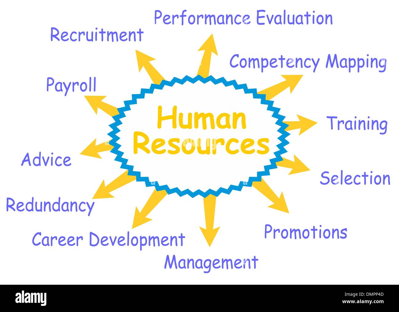 Human resources vector vectors hi-res stock photography and images - Alamy