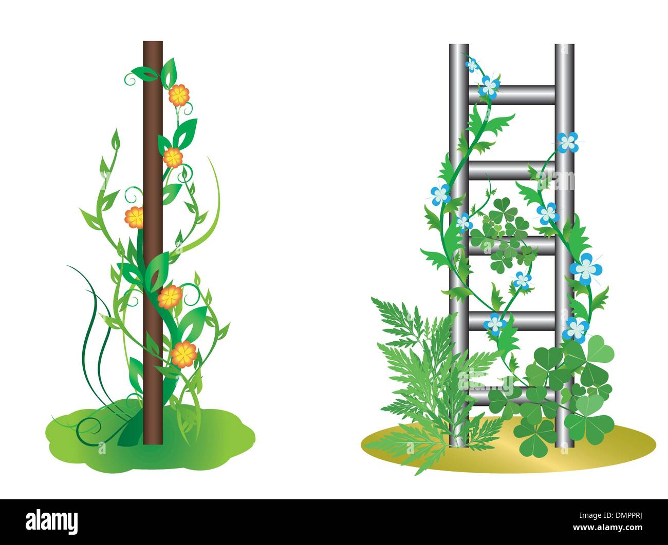 vector illustration - vertical plants with flowers Stock Vector Image ...