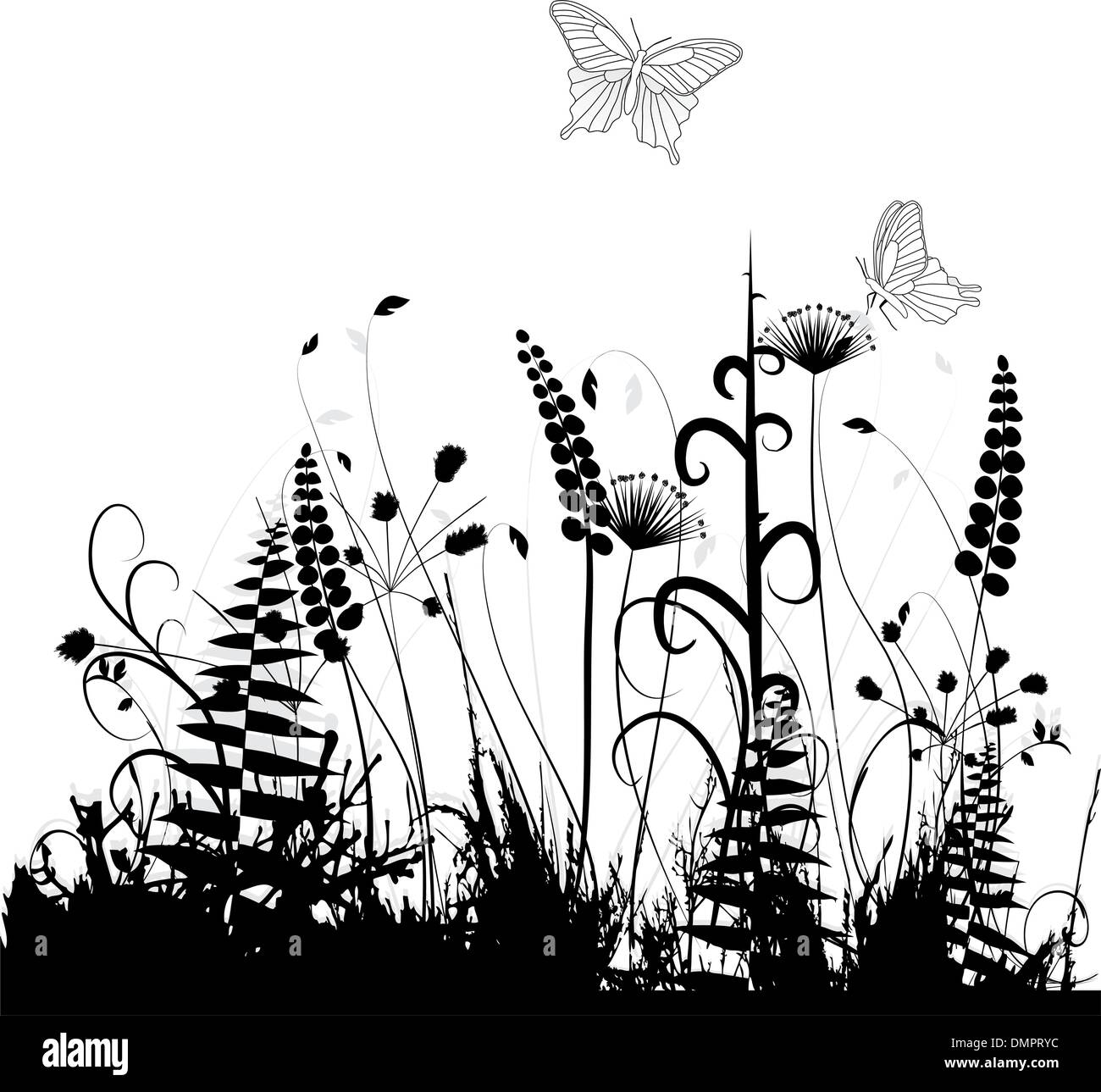 Collection for designers, meadow in summertime, plant vector Stock ...