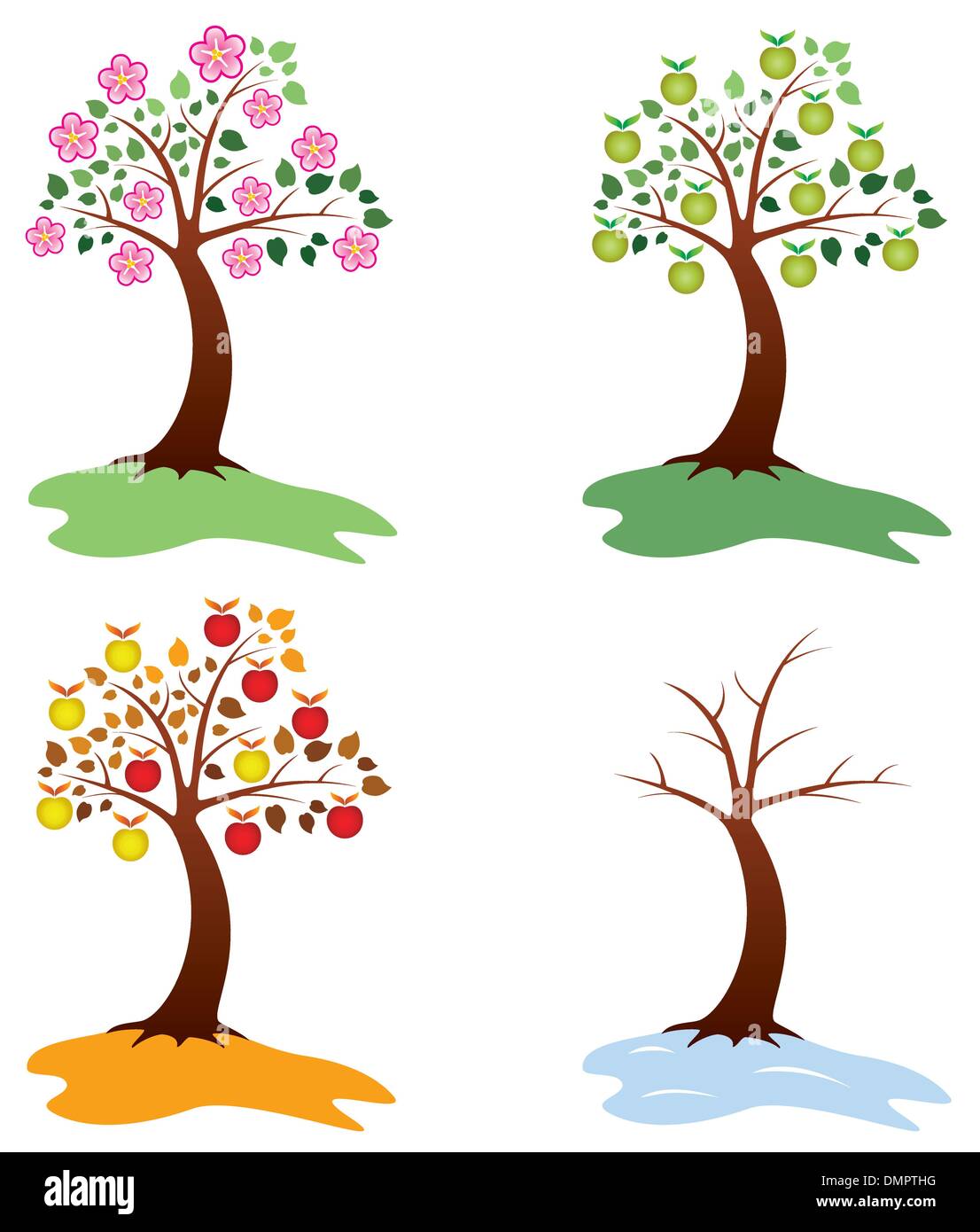 vector apple trees Stock Vector Image & Art - Alamy