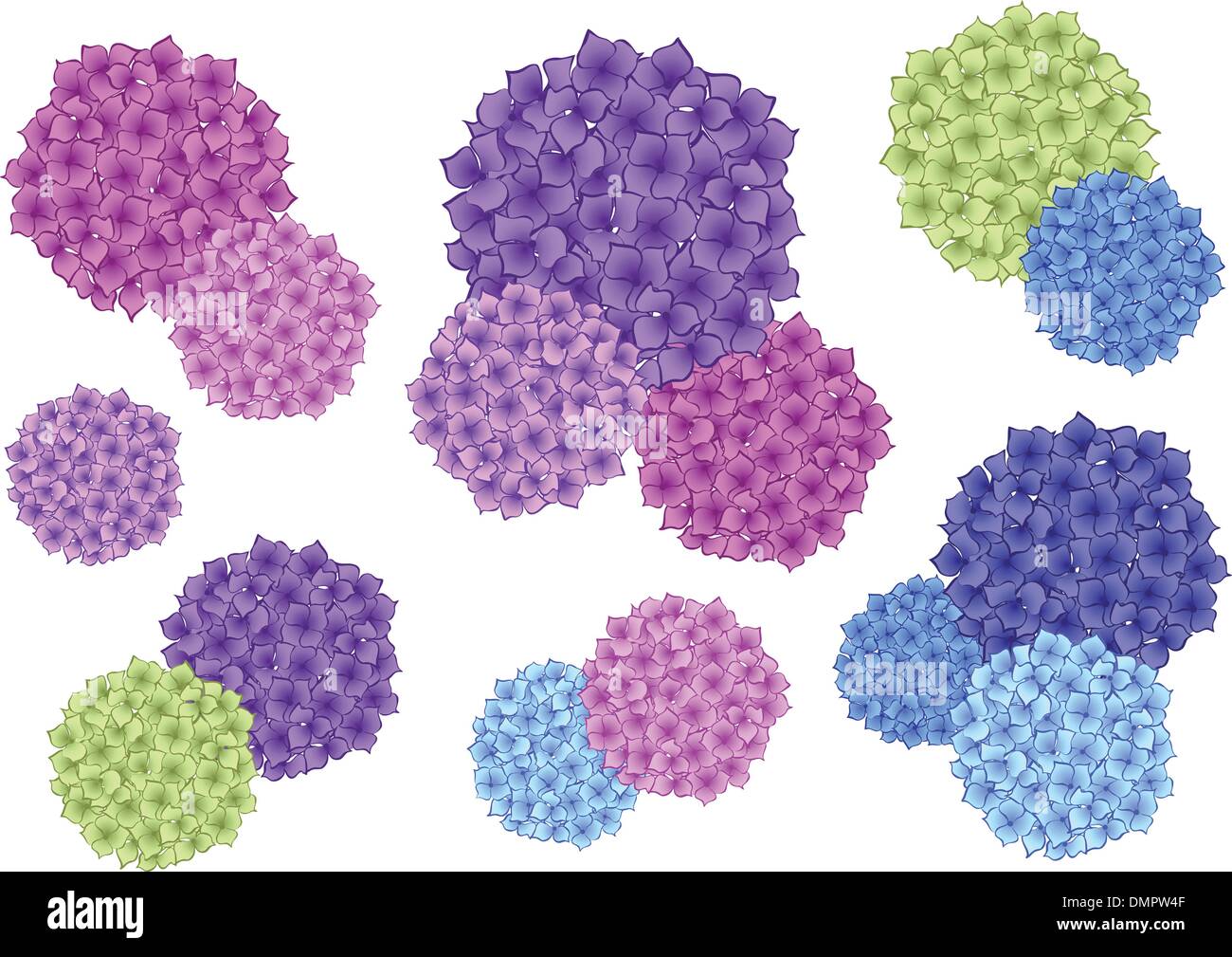 colorful hydrangea flowers, vector set Stock Vector Image & Art - Alamy