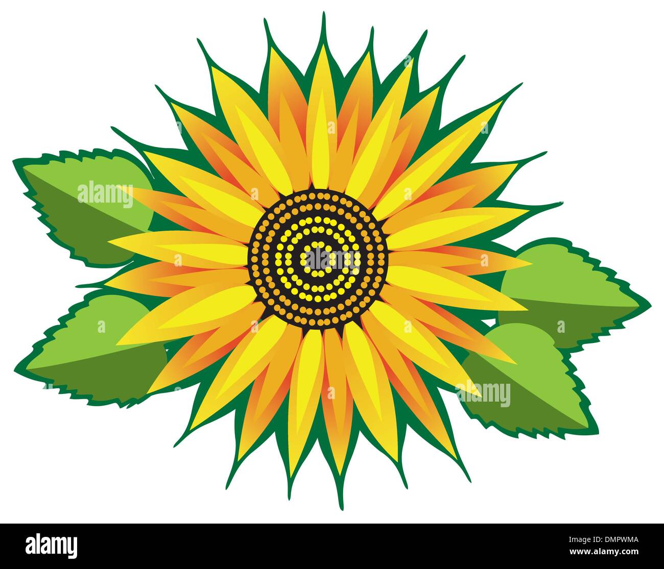Sunflower seeds vector vectors hi-res stock photography and images - Alamy