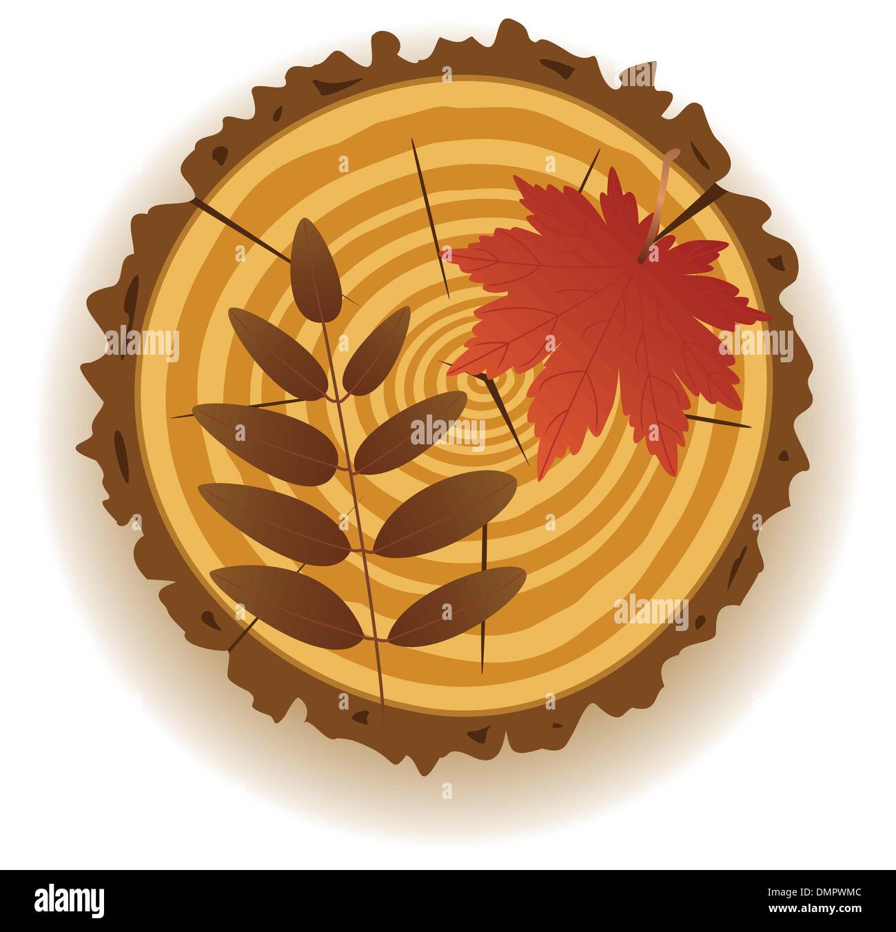 vector wooden cut Stock Vector Image & Art - Alamy