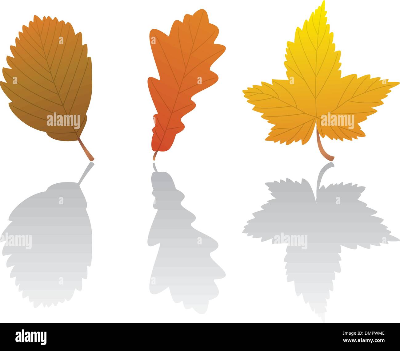 vector fall leaves Stock Vector Image & Art - Alamy