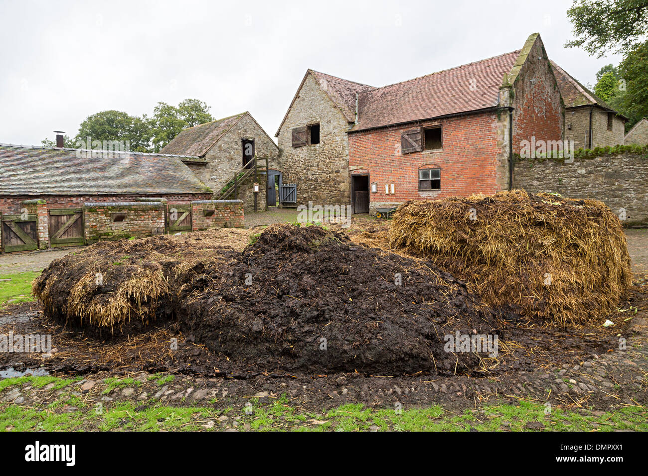 Midden at Acton Scott Historic Working Farm, Shropshire Stock Photo - Alamy