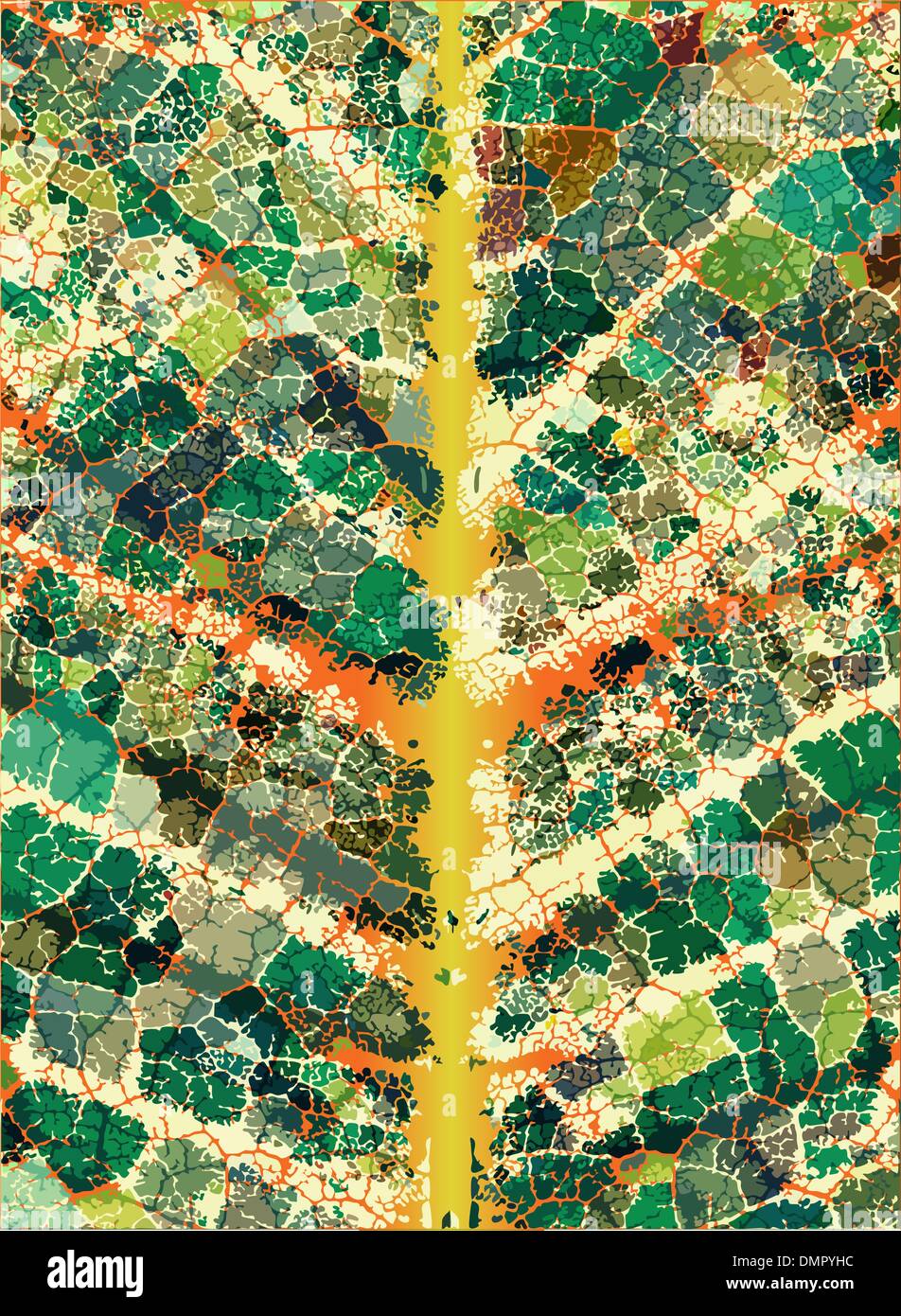 Veins green leaf background Stock Vector Images - Alamy