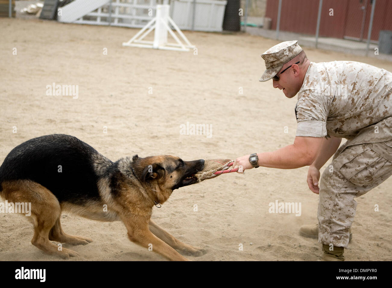 Aug. 20, 2009 - San Diego, California, USA - The K-9 Military Working ...