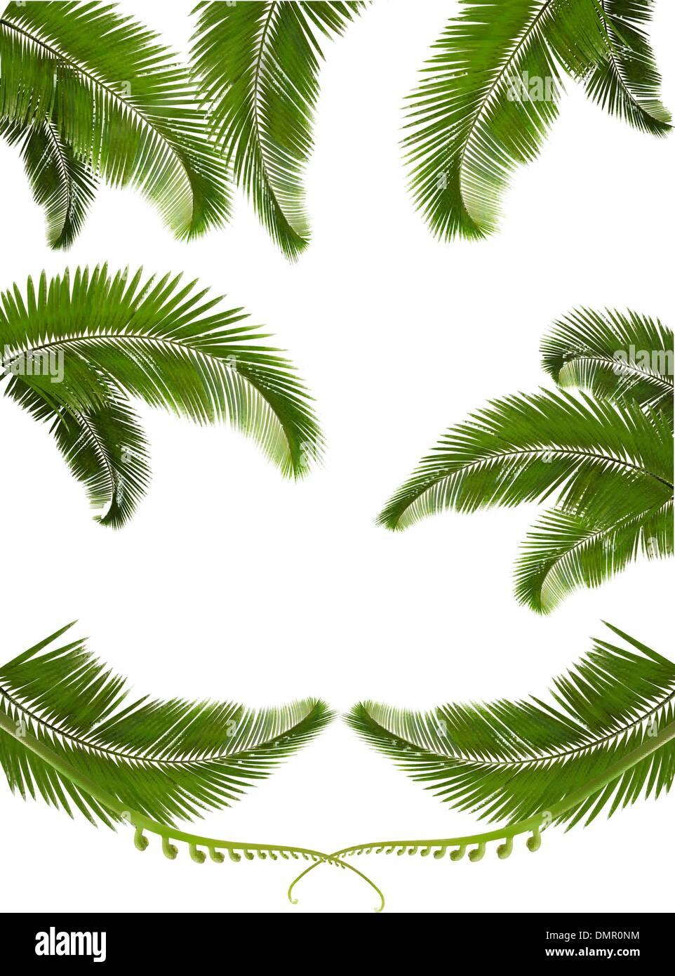 Palm leaves vector hi-res stock photography and images - Alamy