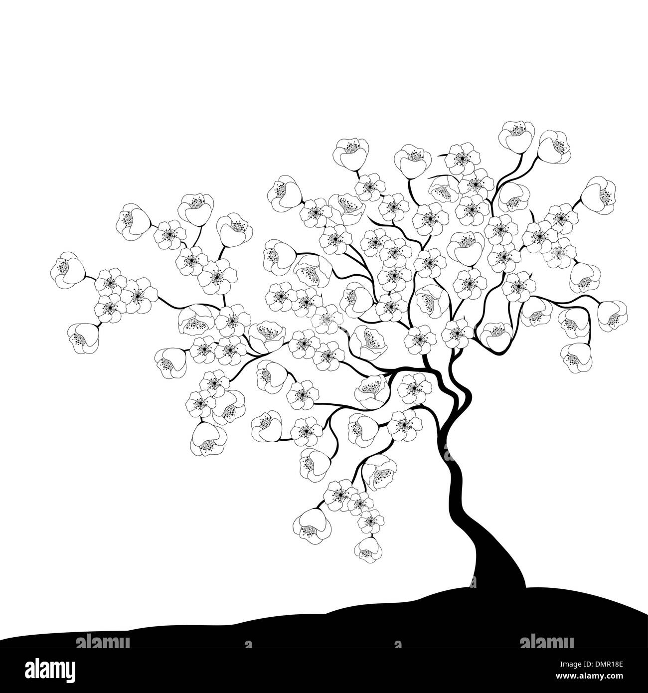Sakura tree drawing Black and White Stock Photos & Images - Alamy