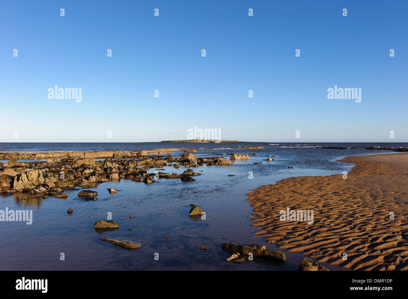 Coquet island, hi-res stock photography and images - Alamy