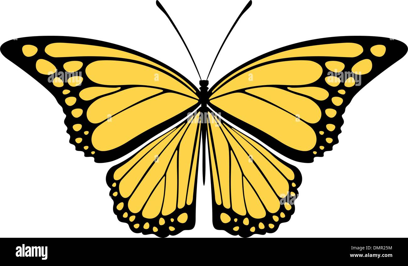 Butterfly monarch Stock Vector Images - Alamy
