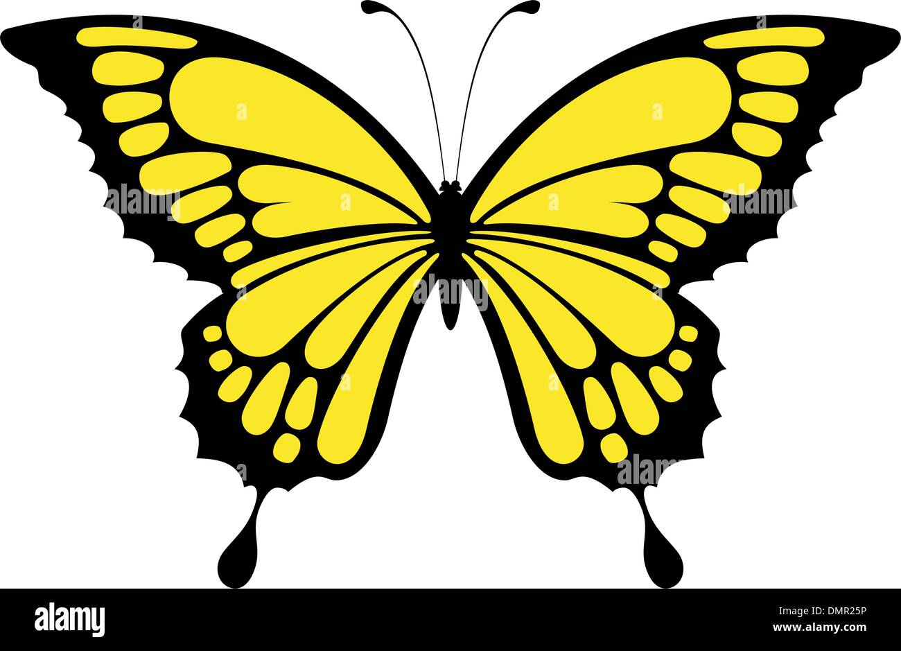 Butterfly monarch Stock Vector Images - Alamy