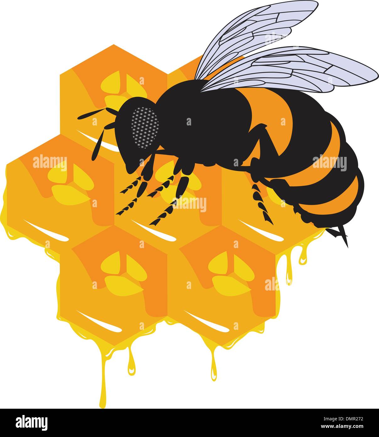 Spring illustration bees honey Stock Vector Images - Alamy