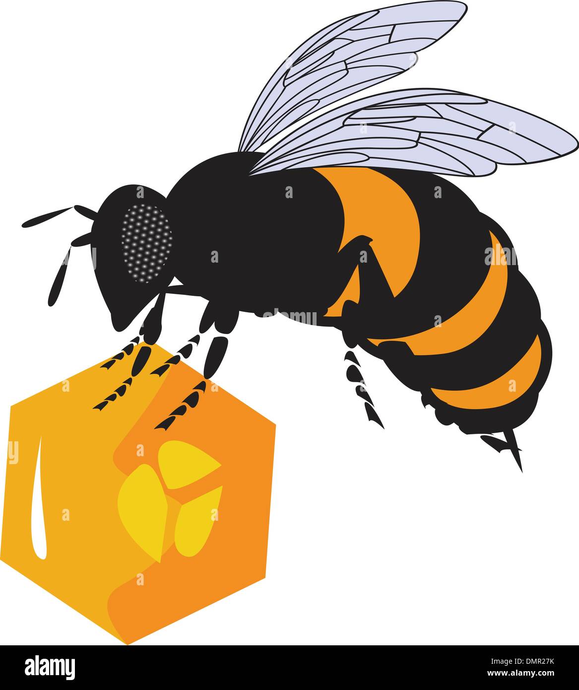 Spring illustration bees honey Stock Vector Images - Alamy