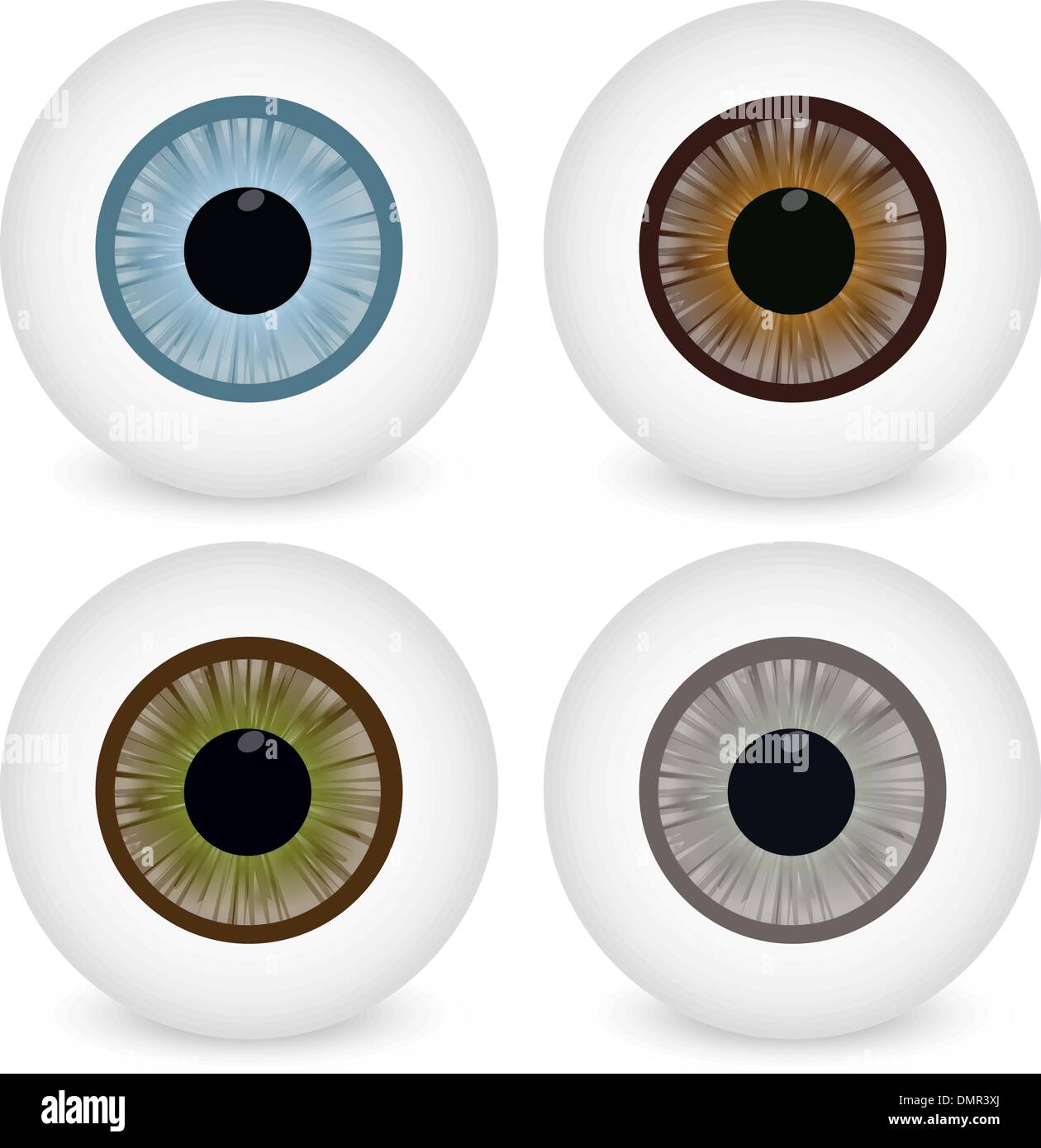 Realistic eye anatomy medical Stock Vector Images - Alamy