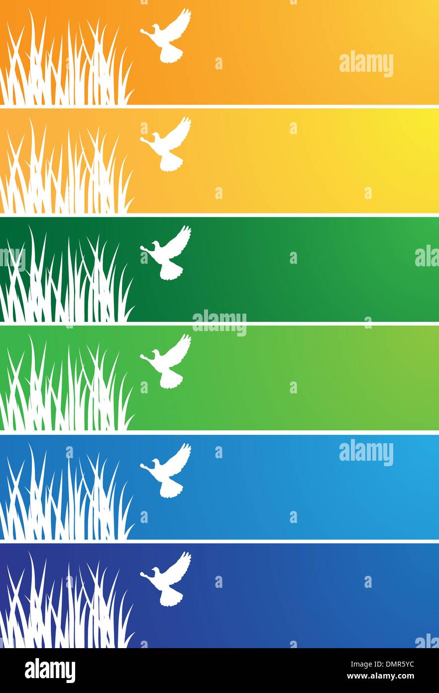 banner with a bird Stock Vector Image & Art - Alamy