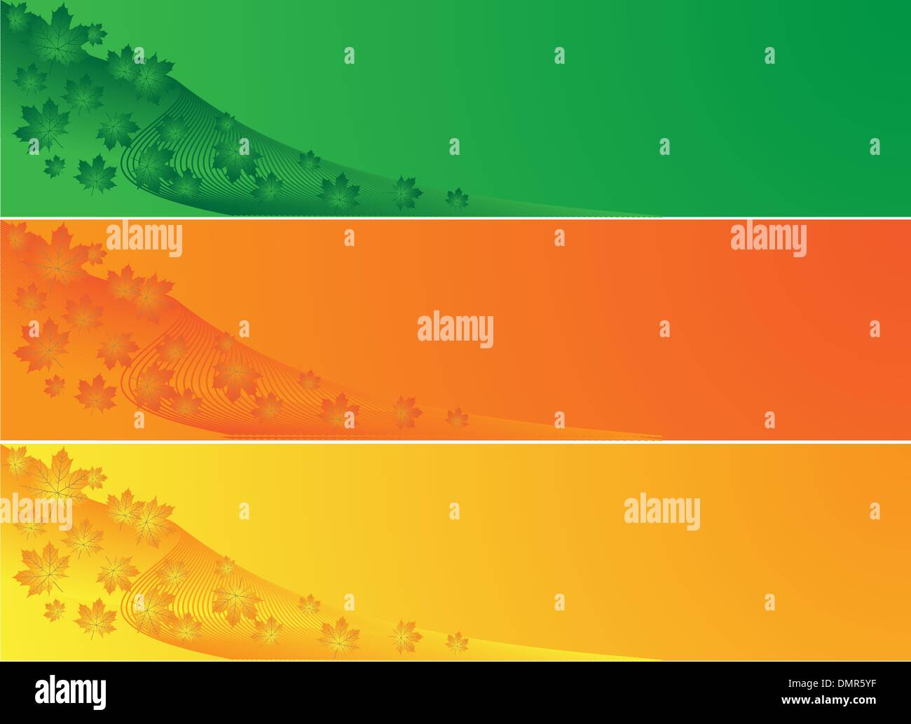 Spring maple leaf Stock Vector Images - Alamy
