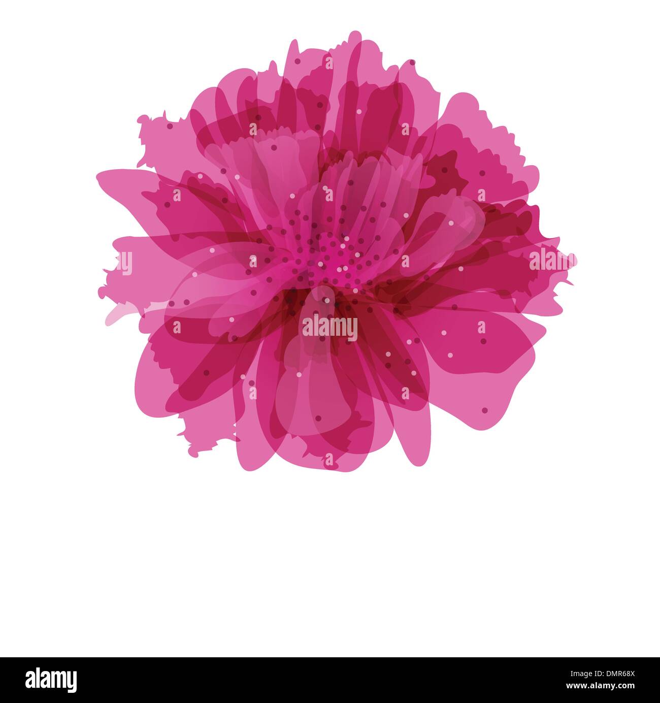 Pink flower blooming peony Stock Vector Images - Alamy