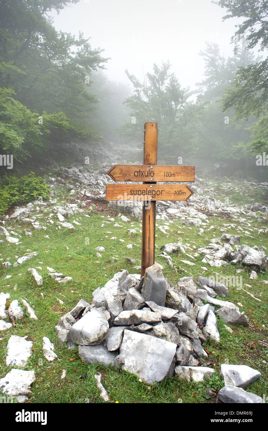 wooden signpost in forest with fog Stock Photo - Alamy