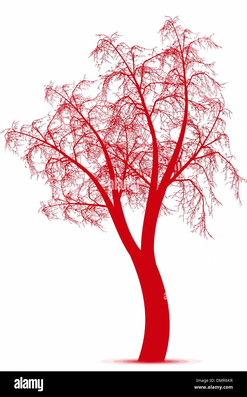Red bark tree Stock Vector Images - Alamy