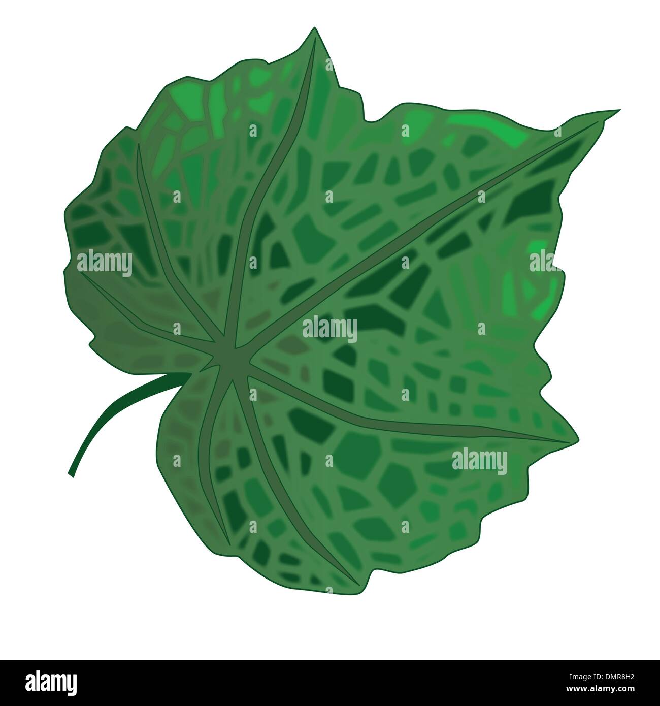 Vegetation leaf Stock Vector Images - Alamy