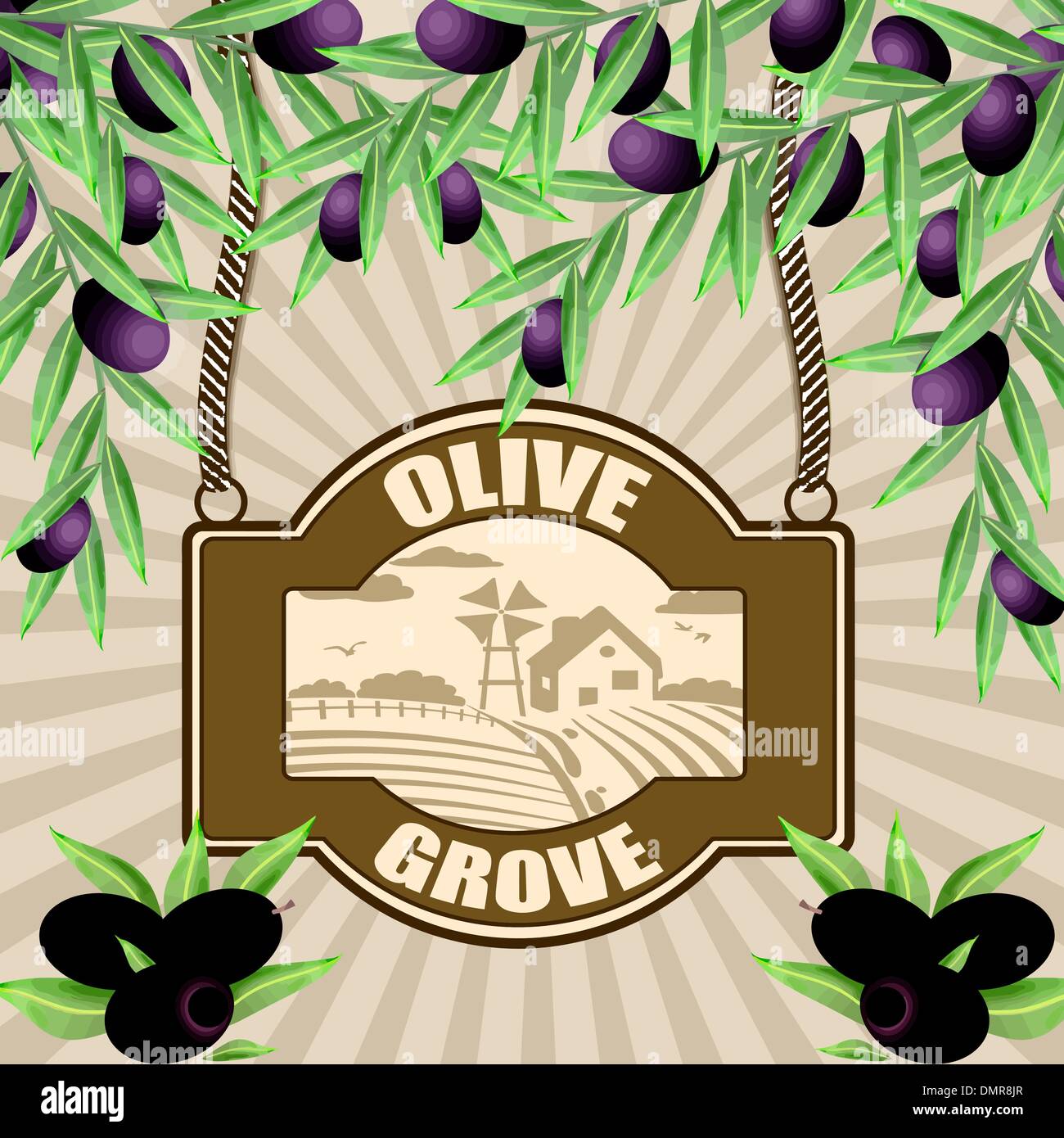 Olive grove plantation Stock Vector Images - Alamy