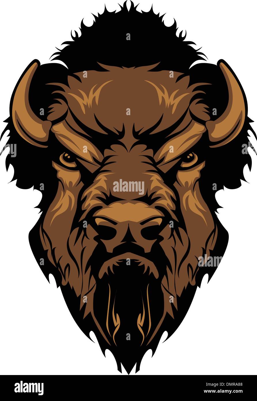 Illustration of bison Stock Vector Images - Alamy
