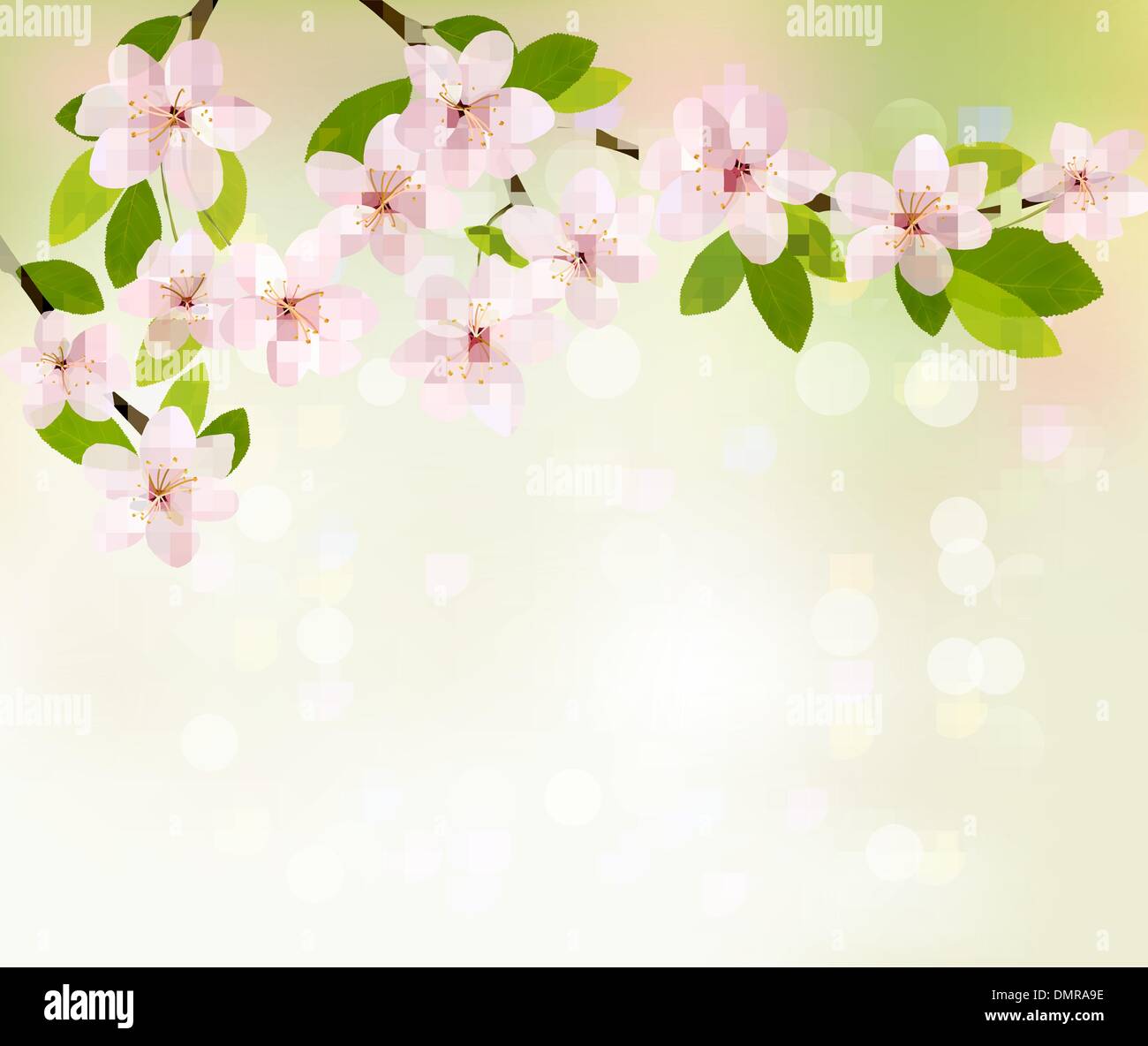 Spring background with blossoming tree brunch with spring flower Stock ...