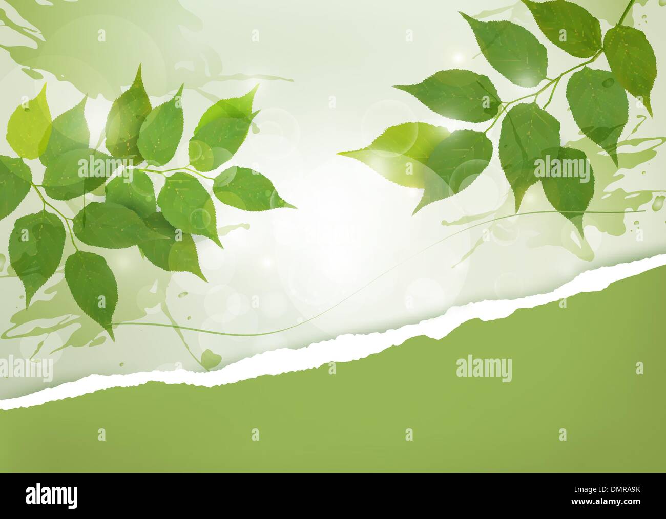 Nature background with green spring leaves and ripped paper. Vec Stock ...