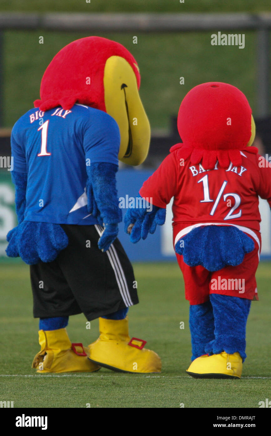 29 August 2009: The University of Jansas mastoct's, Big Jay and Baby ...