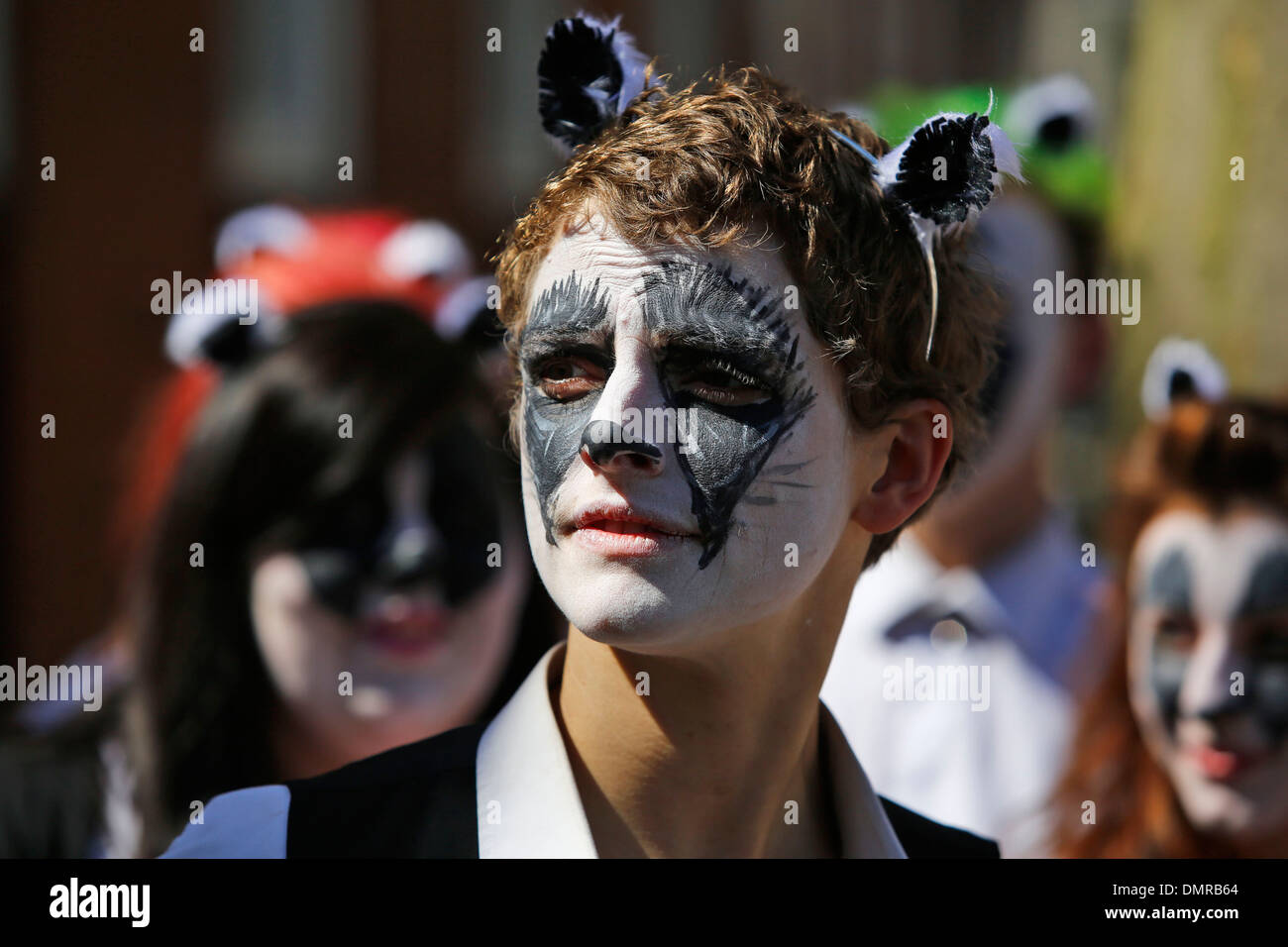 Badger face paint hi-res stock photography and images - Alamy