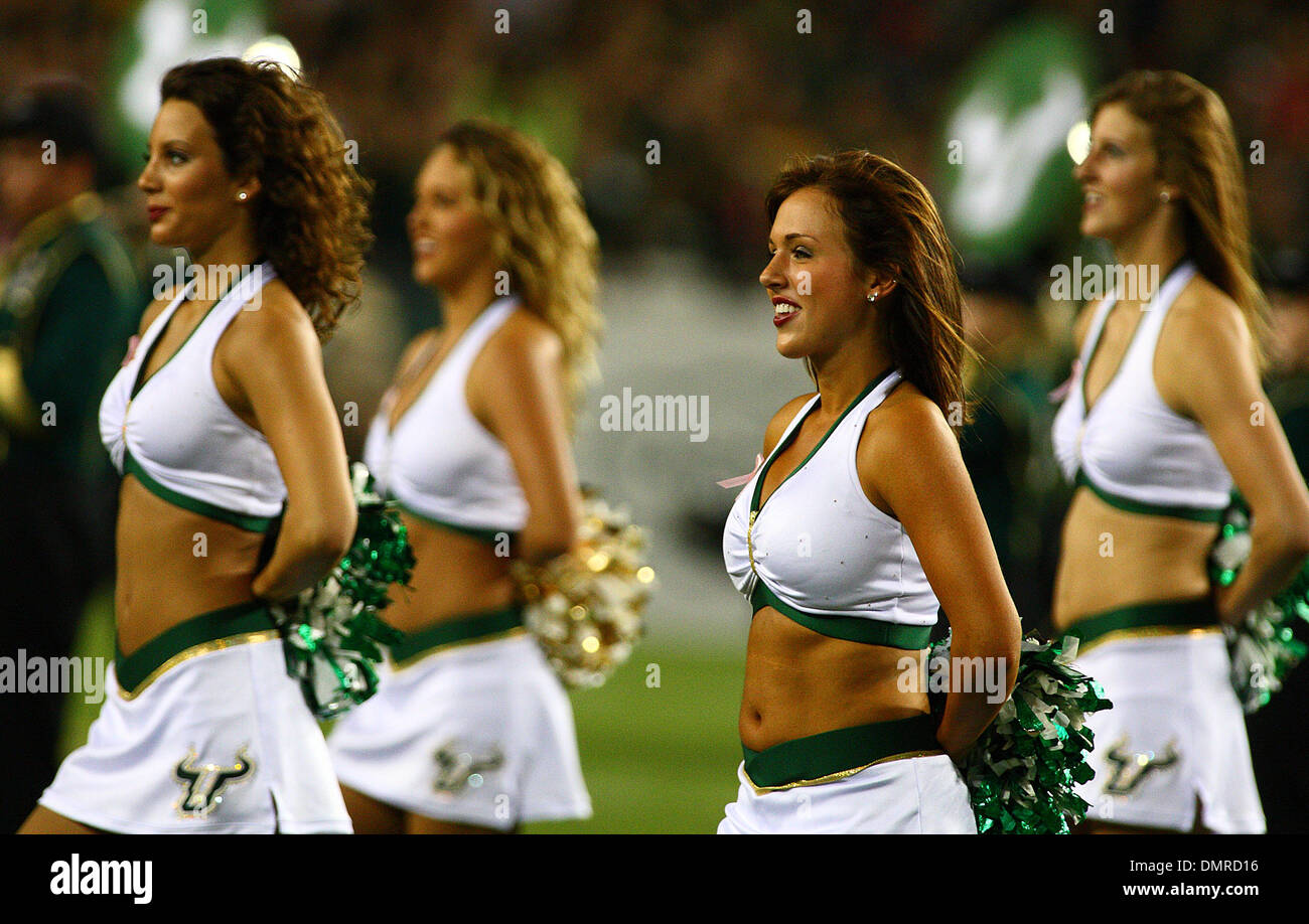 USF cheerleaders celebrate during the first half of the South Florida ...