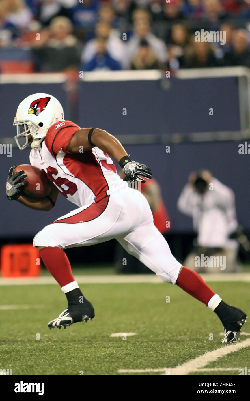 25 October 2009: Arizona Cardinals #36 LaRod Stephens-Howling.The ...