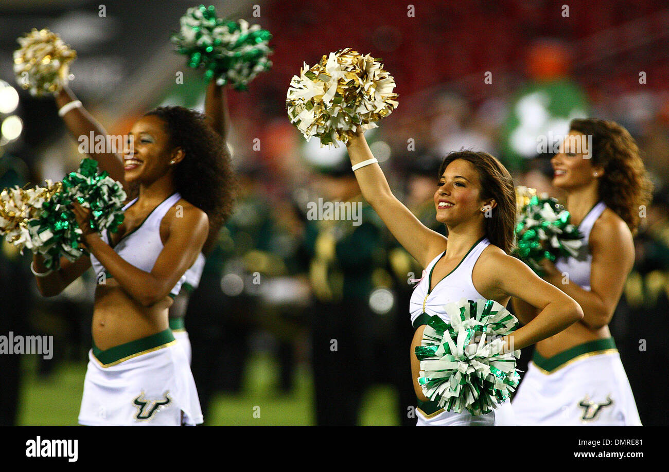 USF cheerleaders celebrate during the first half of the South Florida ...
