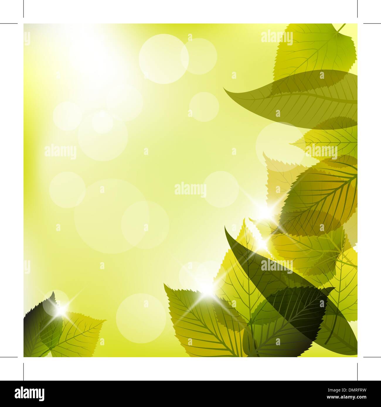Spring leafs abstract background Stock Vector Image & Art - Alamy