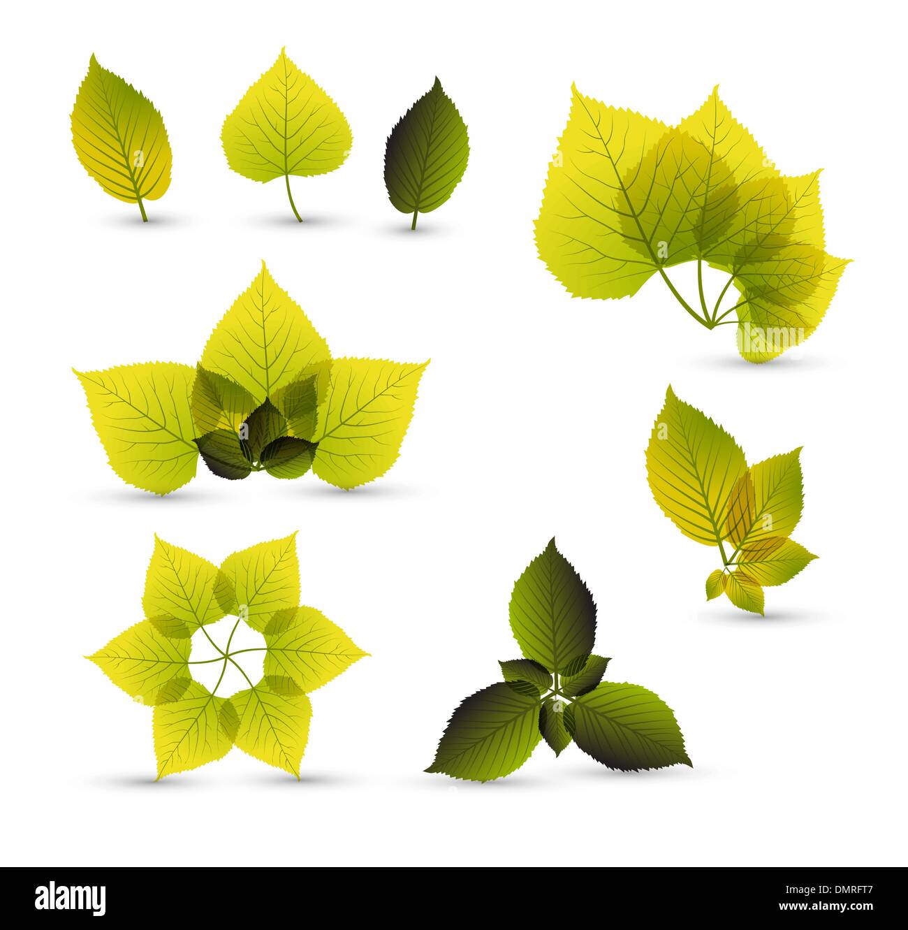 Fresh abstract leaf elements Stock Vector Image & Art - Alamy