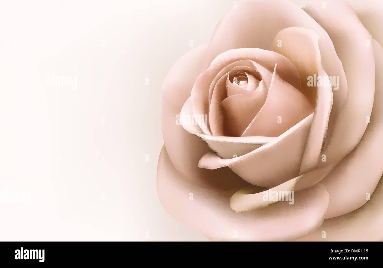 Background with beautiful pink rose. Vector Stock Vector Image & Art ...