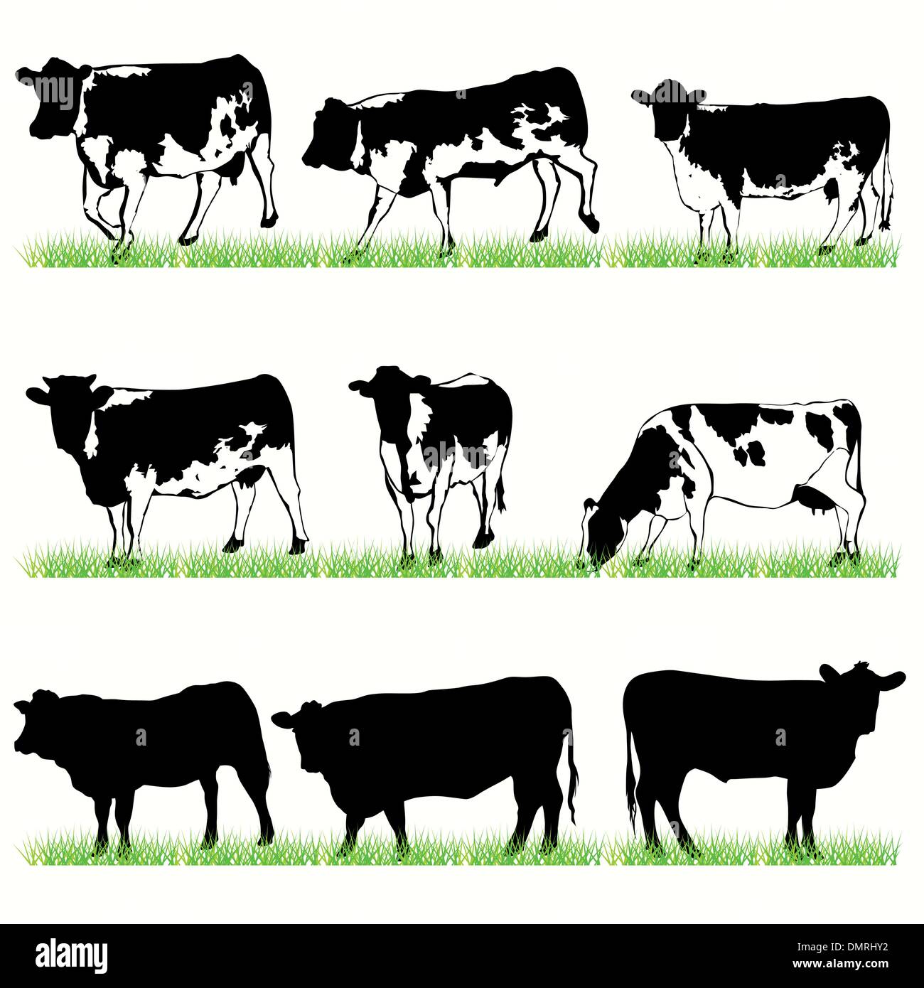 Cows and Bulls set Stock Vector Image & Art - Alamy