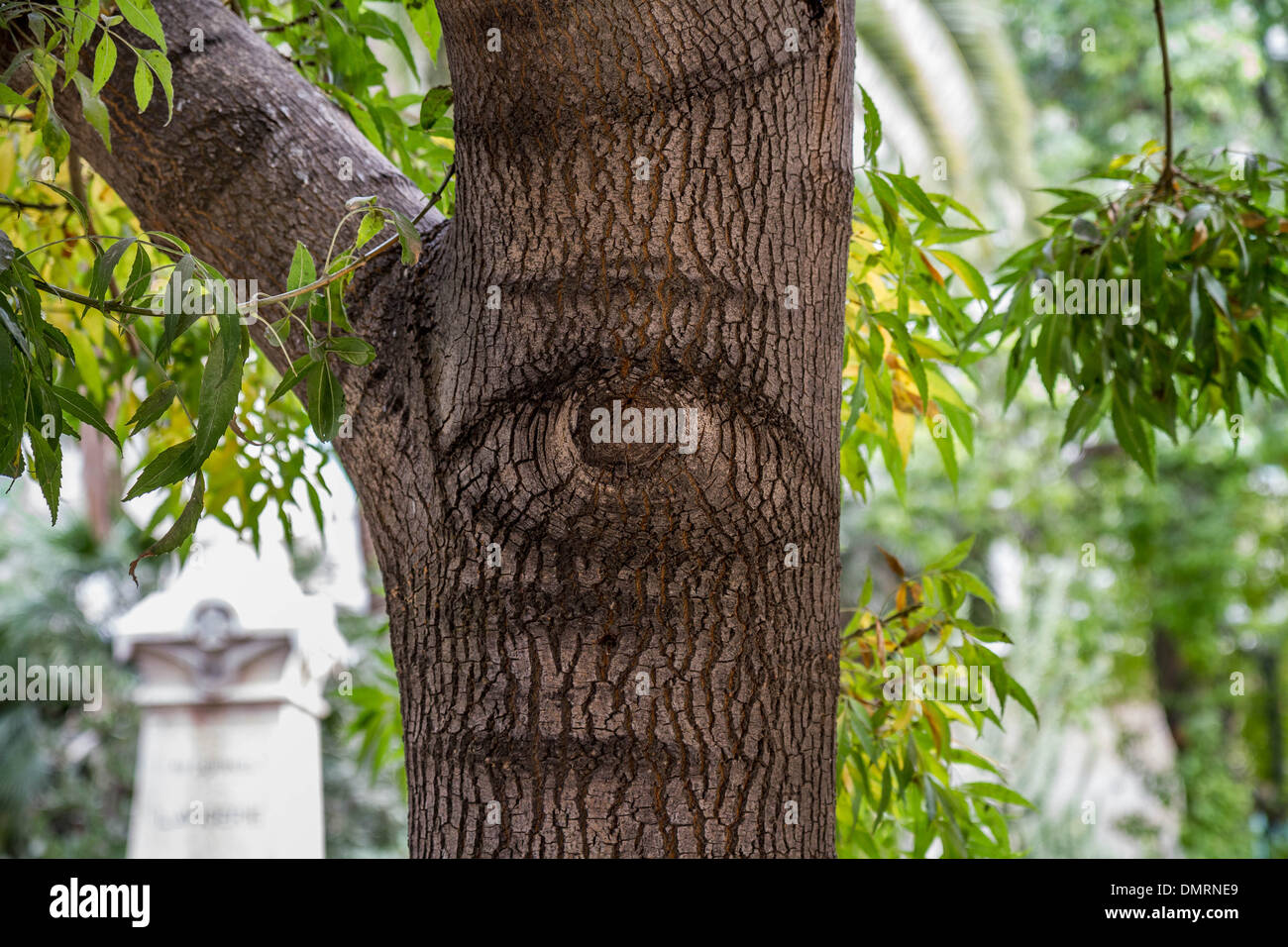 The holy land of Israel in the middle east Stock Photo - Alamy