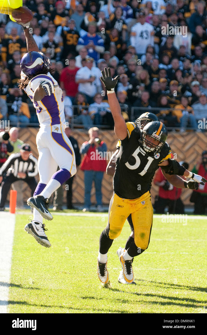 Minnesota Vikings wide receiver Sidney Rice (18) attempts to make a ...